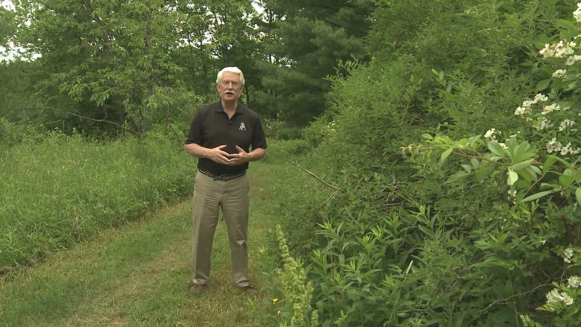 Pat McGowan flies off to a new adventure | newscentermaine.com
