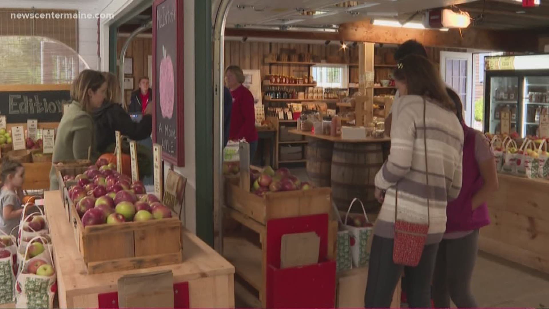 This Maine Apple Orchard doesn't let you pick your own, but you can ...