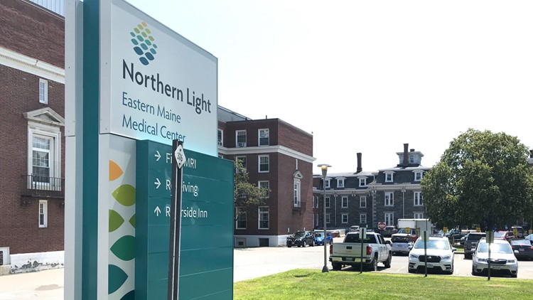 Bones found on EMMC construction site not human, police say ...