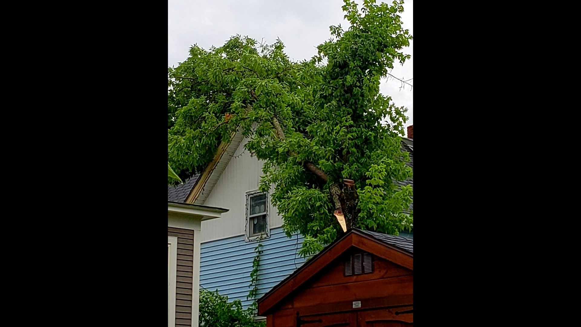 Viewer photos of storm damage and clouds across Maine | newscentermaine.com