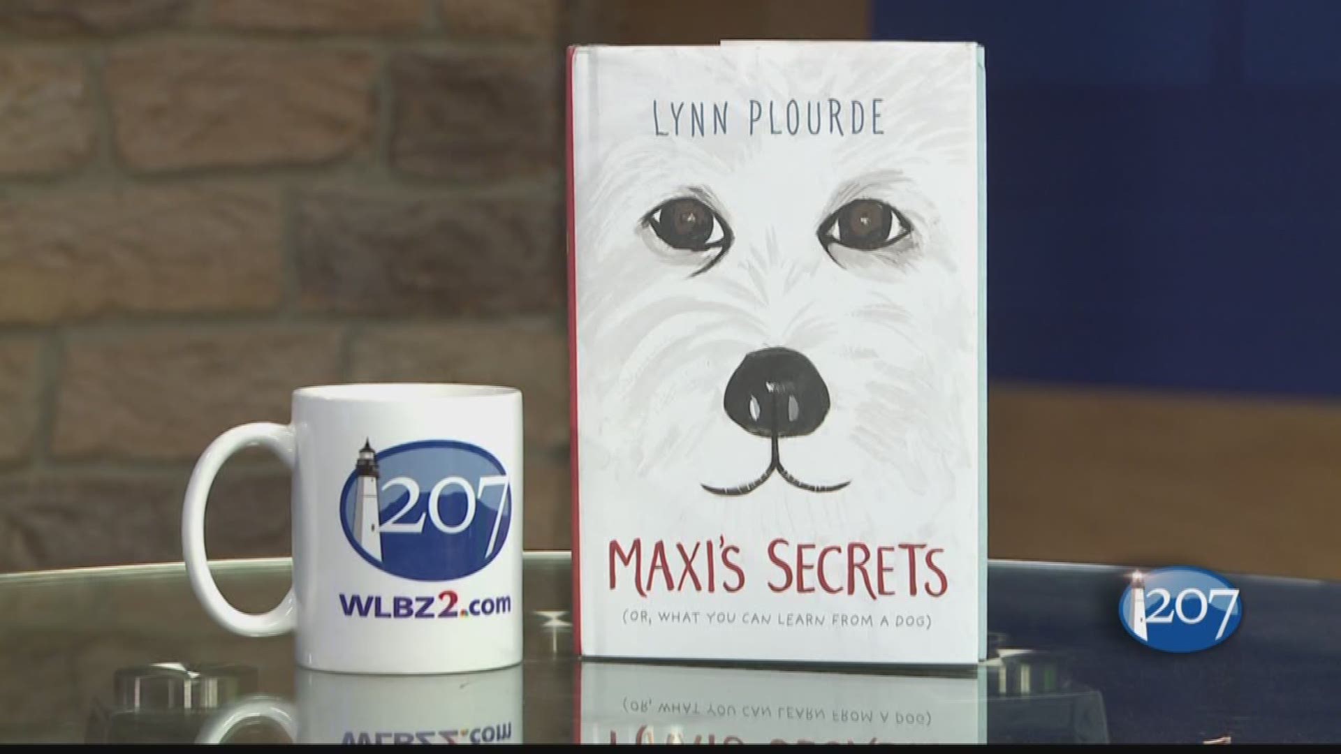 Lynn Plourde - "Maxi's Secrets (Or, What You Can Learn from a Dog ...