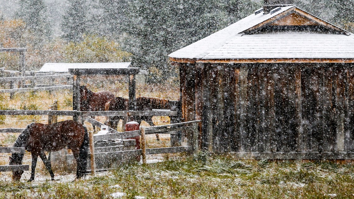 At least 11.81 inches of snowfall in Alberta, Canada | newscentermaine.com