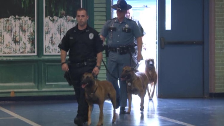 Nine new cop canine teams graduate | newscentermaine.com
