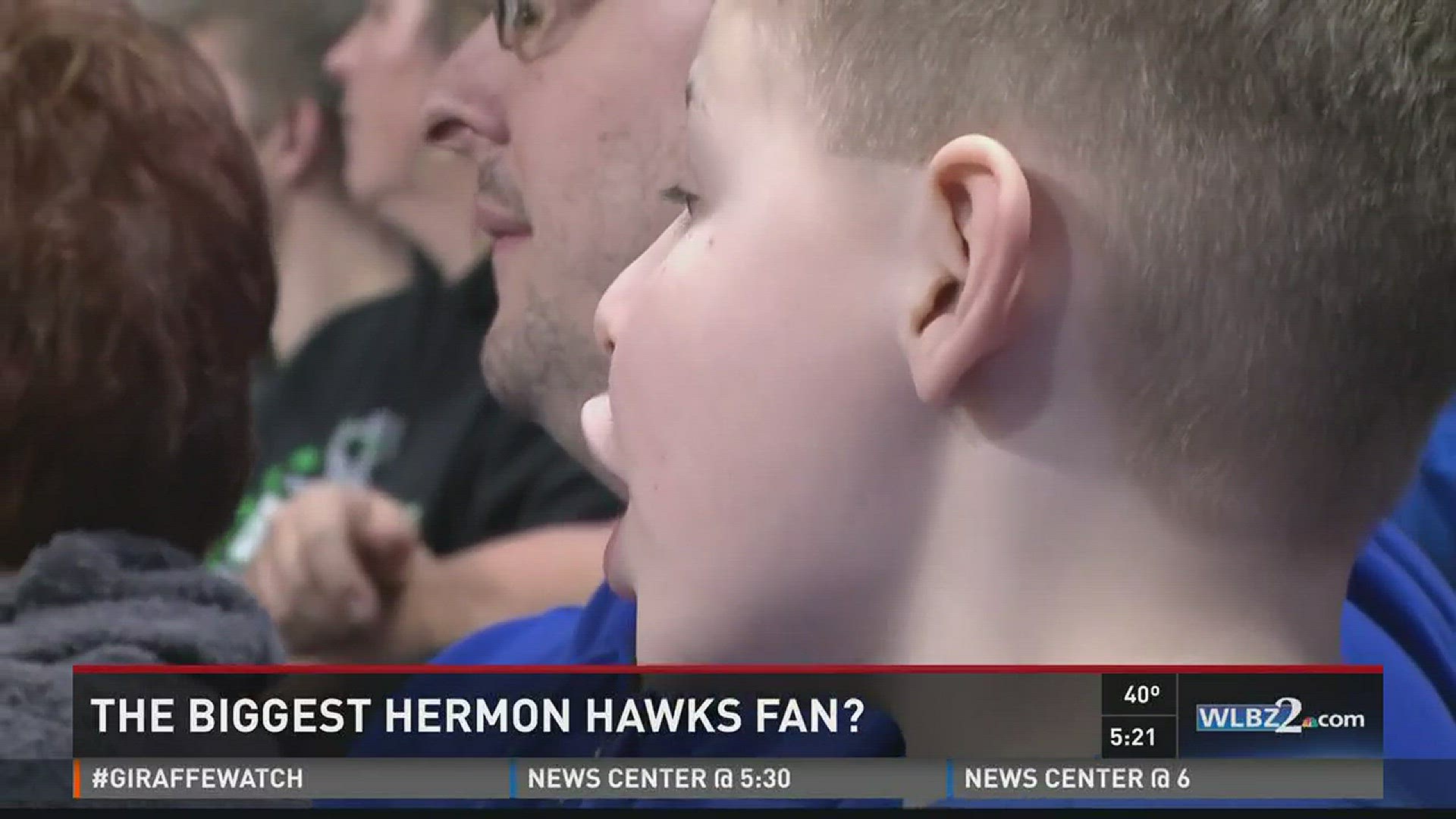 The biggest Hermon Hawk fan? | newscentermaine.com