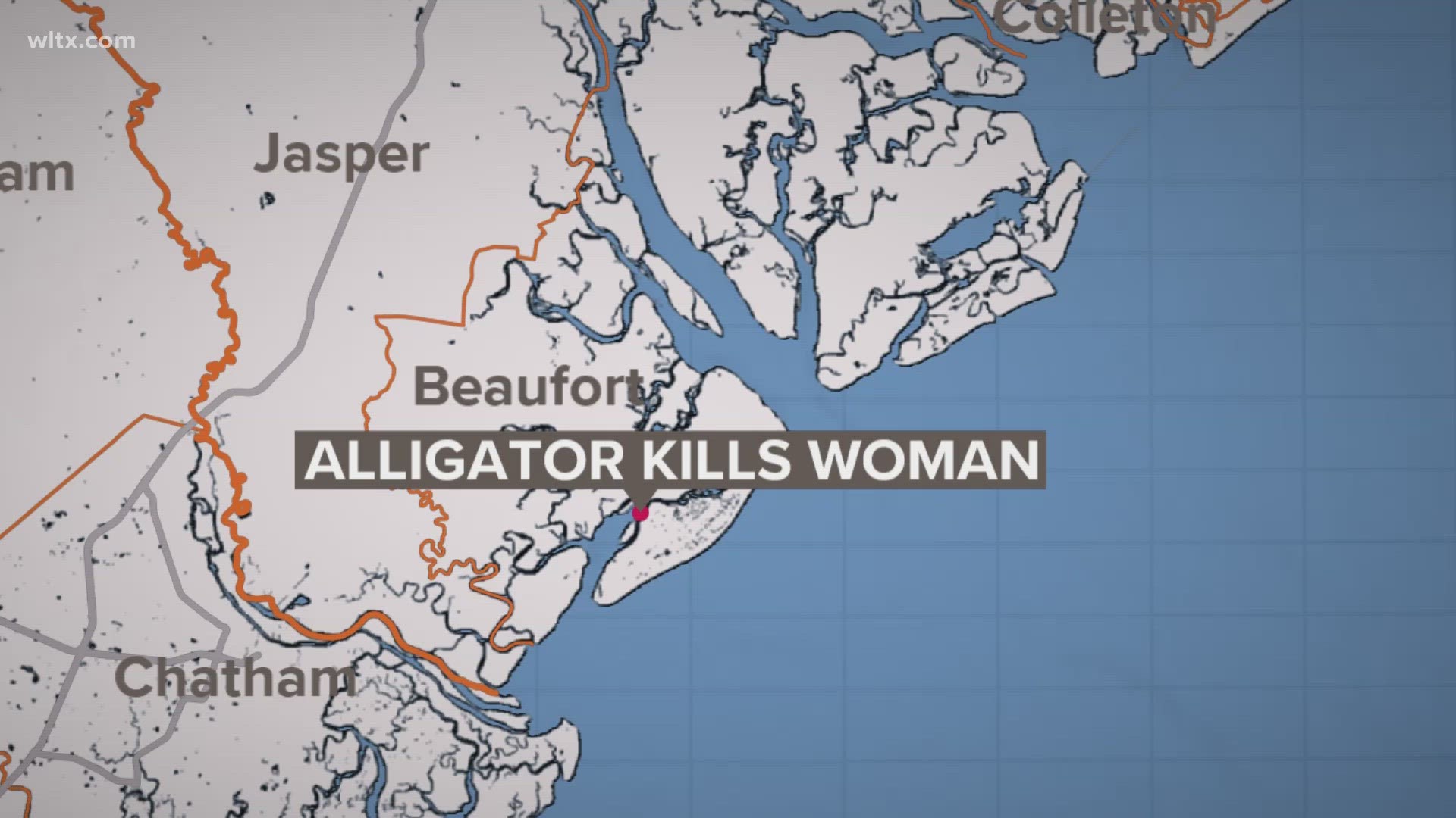 South Carolina alligator attack leaves woman dead | newscentermaine.com