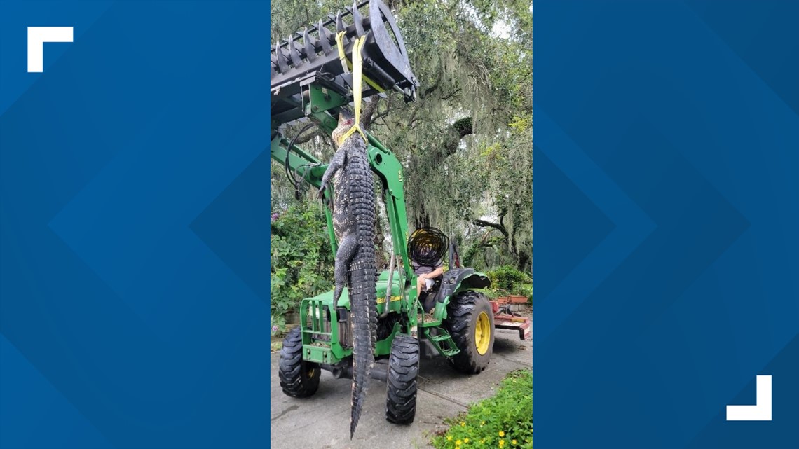 Florida man recounts alligator attack and his recovery journey ...