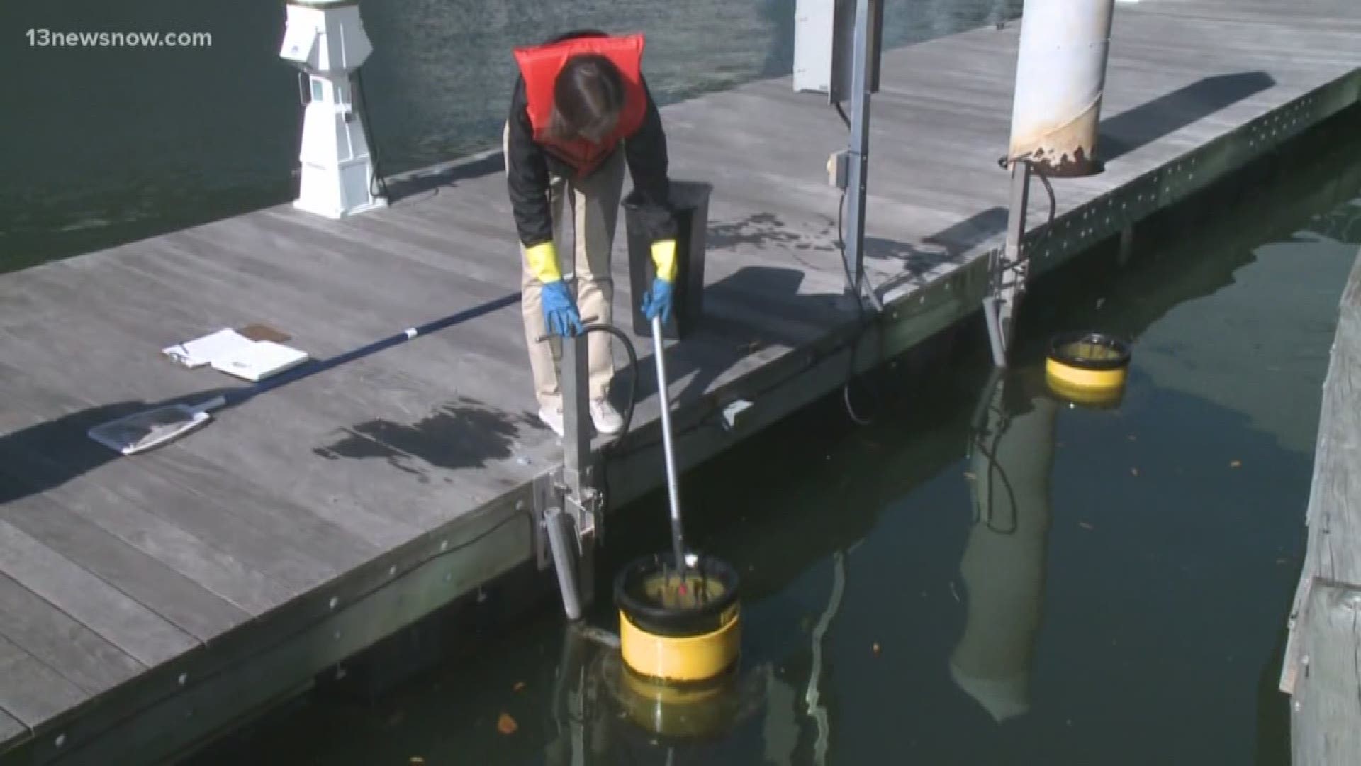 Nauticus sea bins collect over 1,000 pounds of garbage in a year ...