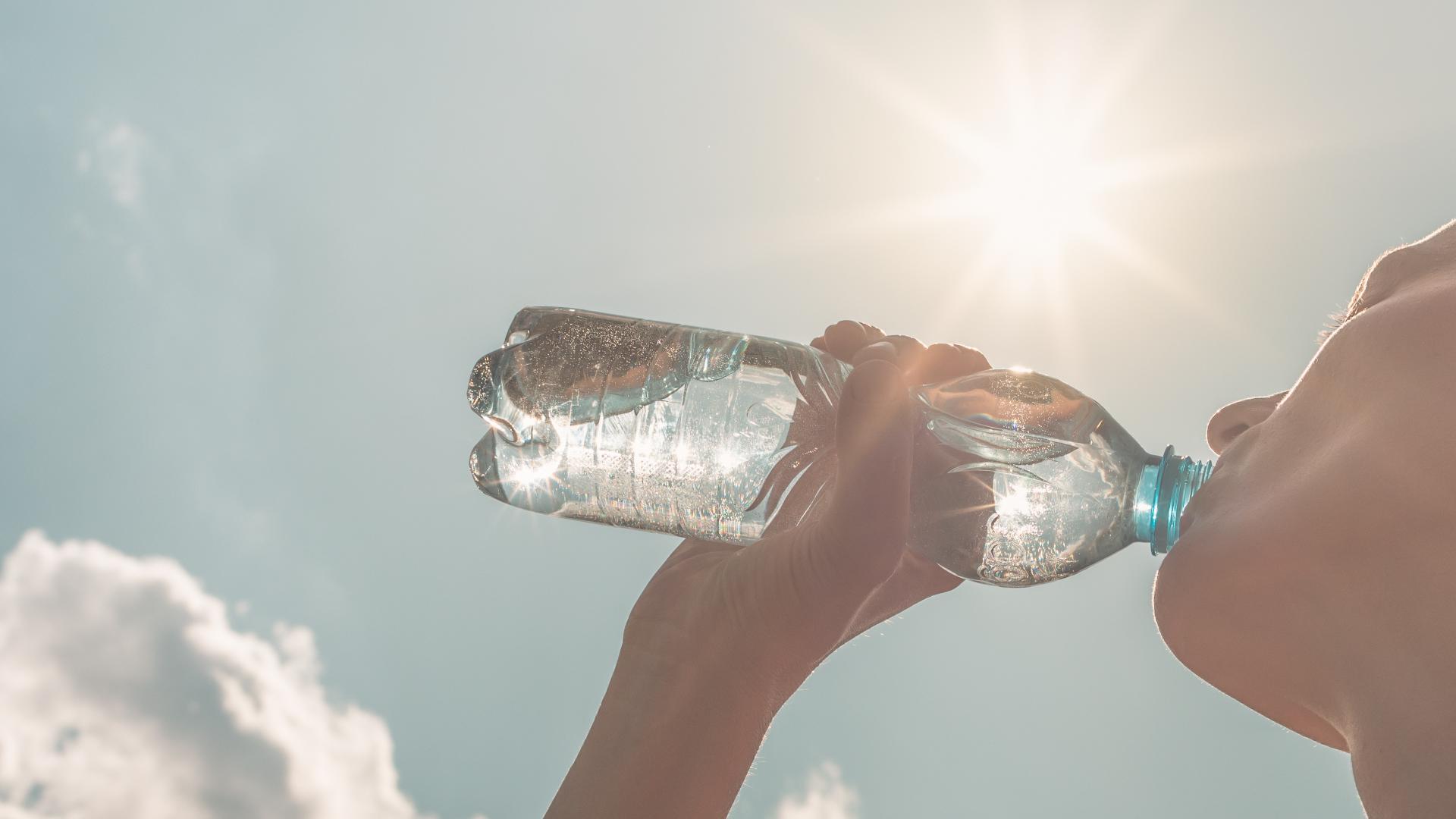 Maine CD1: Who are Chellie Pingree, Ron Russell, Ethan Alcorn ...